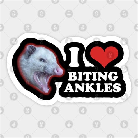 I Love Biting Ankles Possum Possum Sticker Teepublic