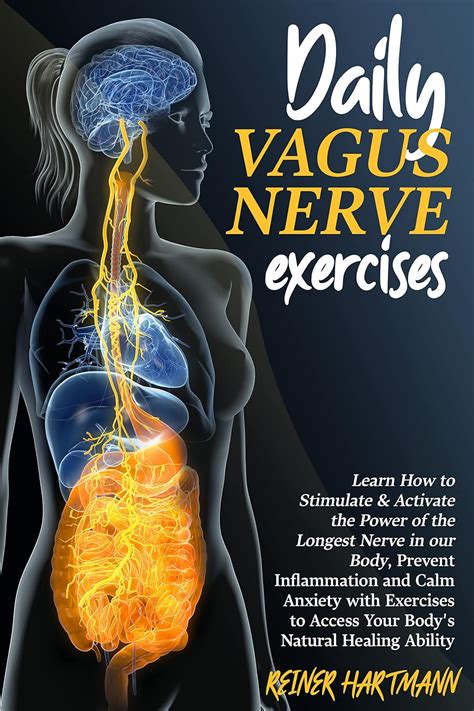 Daily Vagus Nerve Exercises Learn How To Stimulate