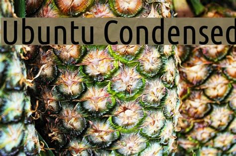 Ubuntu Condensed Font FFonts Net