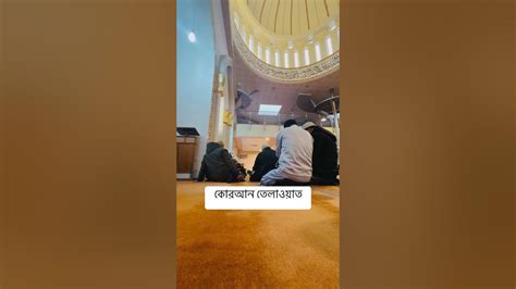 কোরআন তেলাওয়াত। Foryou Allahquran Viralshort Reels কোরআন Qurantilawat Quran Uk London