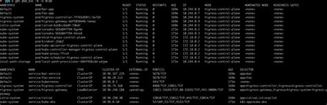 Higress官方例子剖析 猿必过