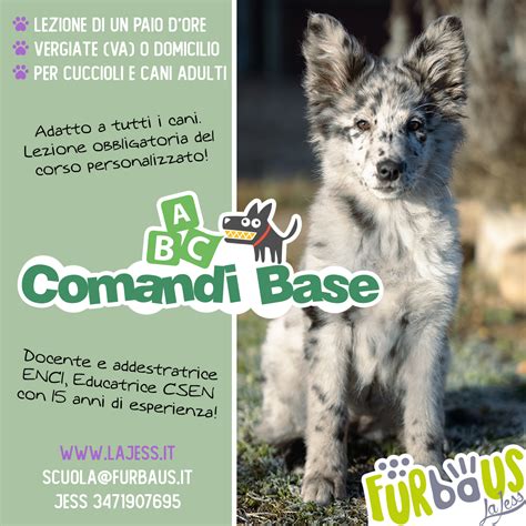 Comandi Base La Jess