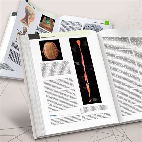 Книга Анатомические поезда 4 е издание Томас В. Майерс - купить от 4 ...