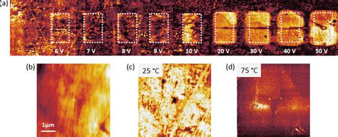 Temperature Dependent PFM Measurements A Vertical Amplitude PFM Download Scientific Diagram