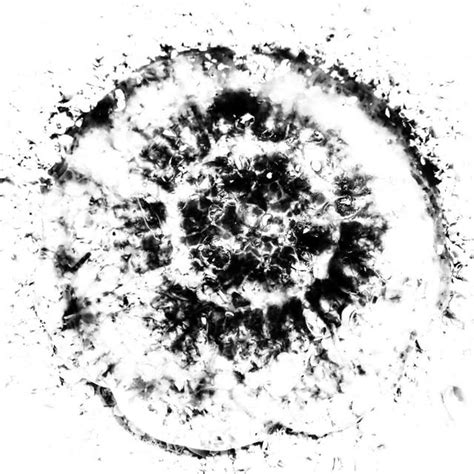 Anita Frichot Anitafrichot • Threads Say More