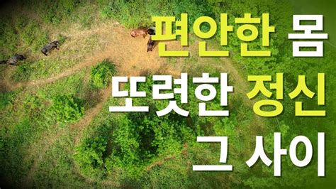편안하게 집중하고 싶을 때 2분 호흡운동 브레스워크 호흡명상 Youtube