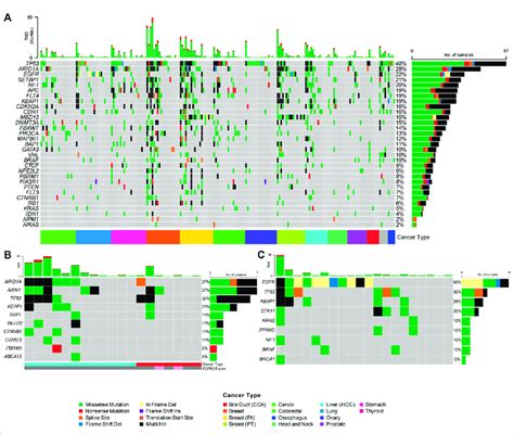 A Single Nucleotide Variation And Short Indels Snvindels Detected