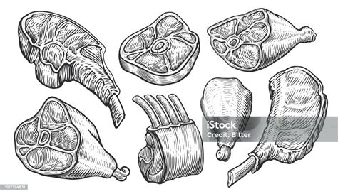 육류 제품 세트 스케치 쇠고기 스테이크 햄 양갈비 돼지 고기 닭 다리 정육점 구색 벡터 일러스트레이션 갈비 음식에 대한 스톡