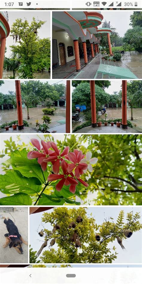 Android Recycler View With Auto Span Count And Item Width With Wrap Content Stack Overflow