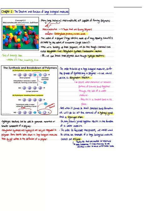 Hunter College Biol 100 Samantha Sheppard Lahiji Chapter 5 The Structure And Function Of