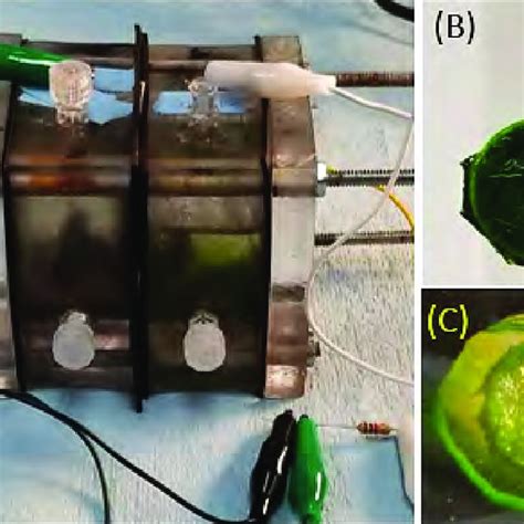 A A Microbial Biosensor With Mixed Bacterial Consortium In The Anode