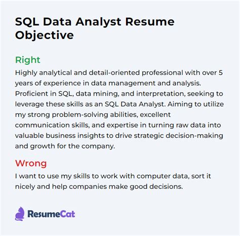 Top 17 Sql Data Analyst Resume Objective Examples