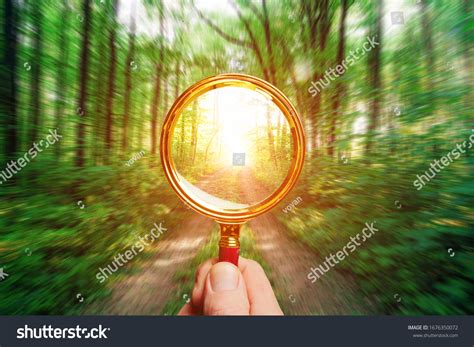 5 Thousand Magnifying Glass Landscape Royalty Free Images Stock