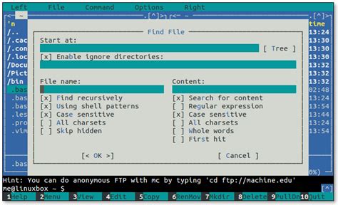 Linux Command Line Adventure Midnight Commander