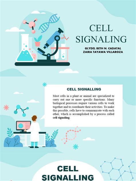 Cell Signalling Pdf Cell Signaling Signal Transduction