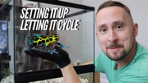Setting Up A DART FROG Vivarium Step By Step Bioactive Jay Wilson YouTube In Dart