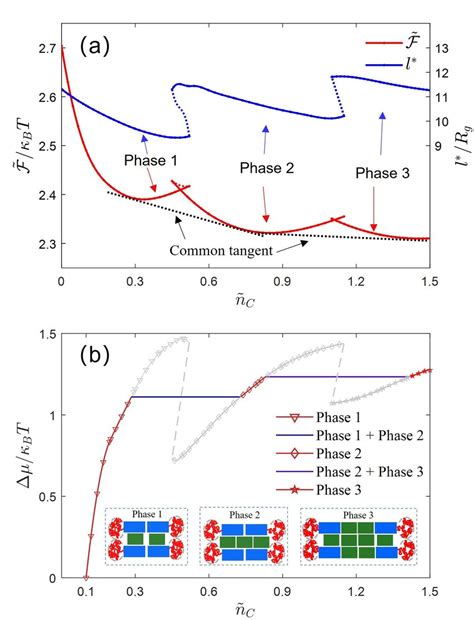 A The Free Energyfenergy Energyf And The Optimal Computational