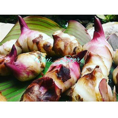 Jual Ubi Ganyong Harga Terbaik And Termurah Februari 2023 Shopee Indonesia