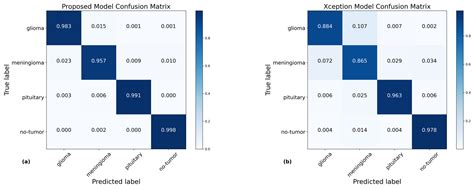 Bioengineering Free Full Text Integrating Convolutional Neural Networks With Attention