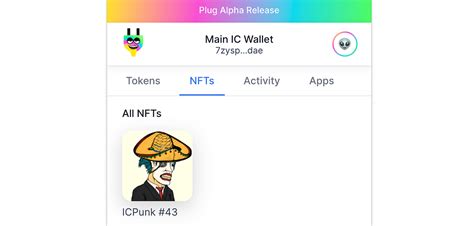 Plug A Crypto Wallet For Icp Tokens And Cycles Surpasses 100000