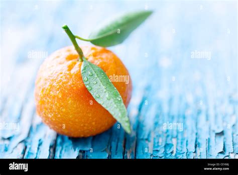 Closeup of mandarin -Fotos und -Bildmaterial in hoher Auflösung – Alamy