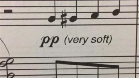 PP Very Soft Know Your Meme