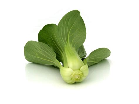 Mini Shanghai Paksoy Puurgroenten