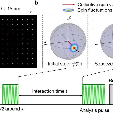 Generation Of Spin Squeezed States In A Dipolar Rydberg Atom Array A Download Scientific