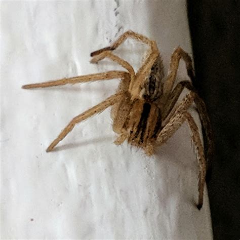 1314 Best Google Pixel 2 Images On Pholder Pixelography Pics And Mobilephotography