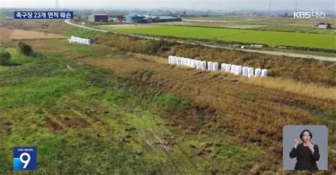 삽교천 갈대밭 싹둑축구장 23개 면적 불법 채취