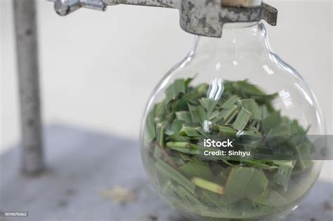 실험실에 있는 액체 혼합물에서 여과 및 증발 응축 구성 요소 물질 분리 연구 Stem 주제에 대한 스톡 사진 및 기타 이미지 Stem 주제 개발 건강관리와 의술