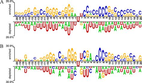 Nucleotide Composition Analysis The Panel Above Position 0 Represents