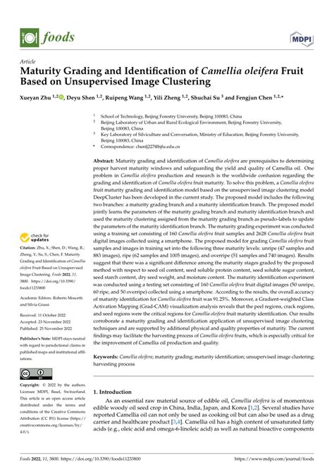Pdf Maturity Grading And Identification Of Camellia Oleifera Fruit