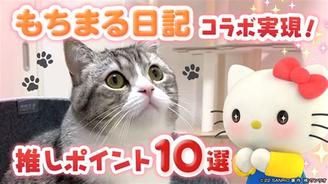 「キティ×もちまる日記」youtube初コラボでキティがもち様をガチ語り！「推しがいるってハッピー」 アニメ情報サイトにじめん