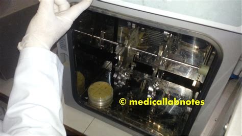 Incubator Introduction Principle Handling Procedure Types