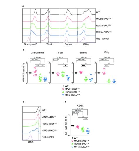 Combined Activities Of Mazr And Runx3 Are Required For Appropriate Download Scientific