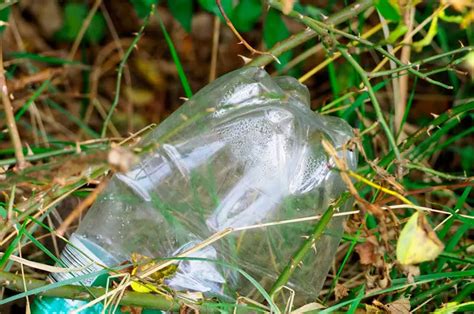 Contaminación Plástica Causas Consecuencias Y Formas De Evitarla