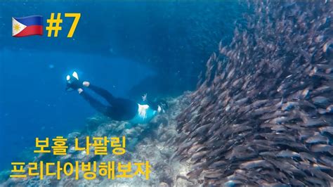 🇵🇭필리핀여행 Ep7 보홀에서는 바다를 들어가야해 공짜로 나팔링가는법 시키호르에서 보홀가기 정어리떼 스노클링 알로나비치보홀여행 Youtube
