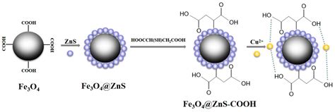 A Multifunctional Magnetic Fluorescent Nanoprobe For Copper Ii Using Zns Dl Mercaptosuccinic