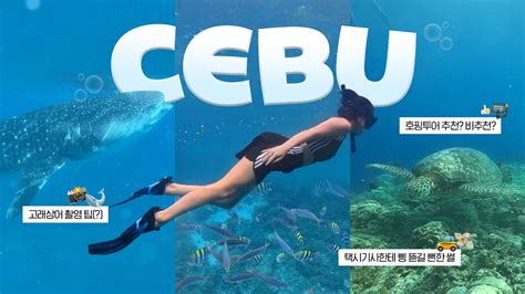 Vlog 새벽부터 시작되는 세부 여행 브이로그 세부 여행 꿀팁 현지 가이드 구하기 2시간짜리 캐녀닝 택시한테 삥 뜯길 뻔한 썰 세부 맛집 호핑투어