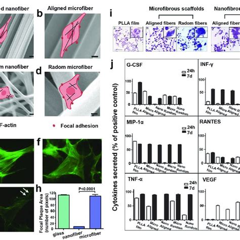 Clarifications And Evidences On How Hydrogel Viscoelasticity Regulated