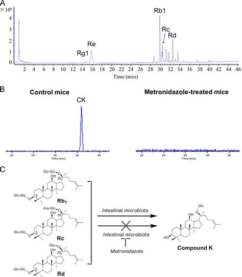 Lc Tof Ms Analysis Of Ginseng Compounds In Extract And Stool Samples Download Scientific