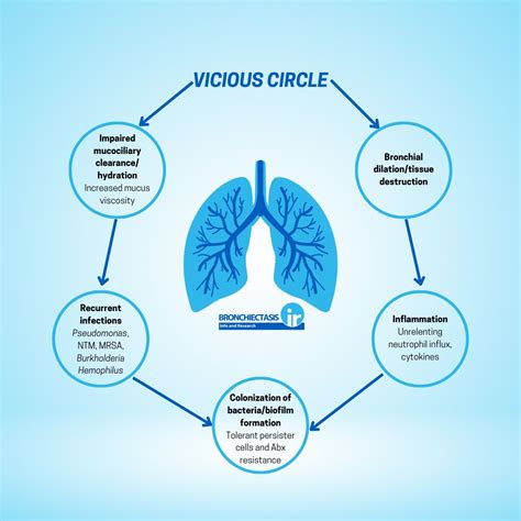 Bronchiectasis Info And Research On Linkedin Each Lung Infection Can