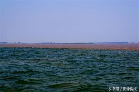 到九江湖口看大氣壯觀的鄱陽湖大橋 每日頭條