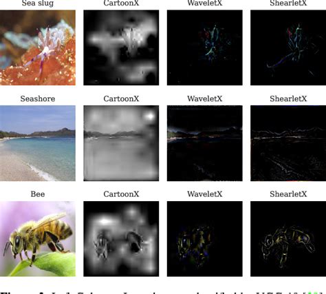 Figure 2 From Explaining Image Classifiers With Multiscale Directional Image Representation