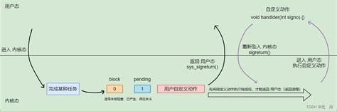 Linux进程信号信号处理 linux 信号处理时机 CSDN博客