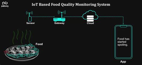 Smart Food Quality Monitoring System Against Spoilage