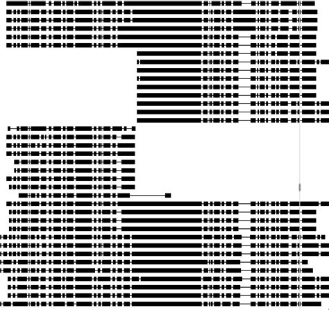 Bioinformatics Phylogenetic Tree Full Its V Partial Its Stack
