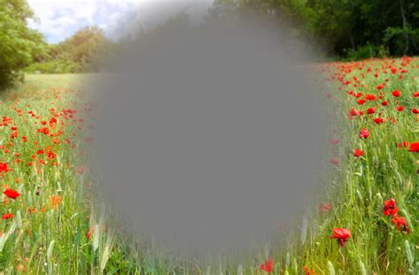 黄斑変性症：症状と治療に関する記事