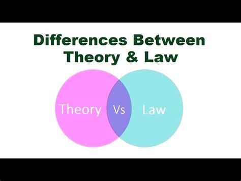 What Is The Difference Between Theory And Perspective